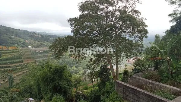 Tanah Panorama Dijual Bedugul